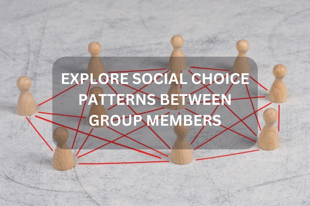 Create a Sociogram in a flash with Sometics